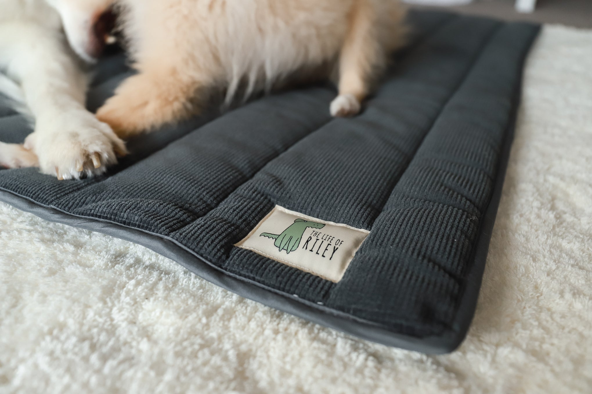 Roll Up Dog Mat - The Life of Riley