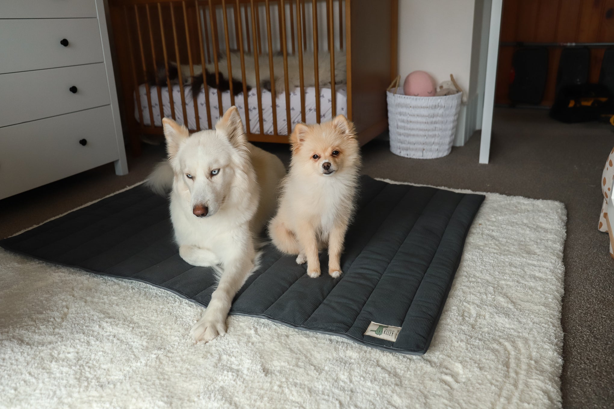 Roll Up Dog Mat - The Life of Riley