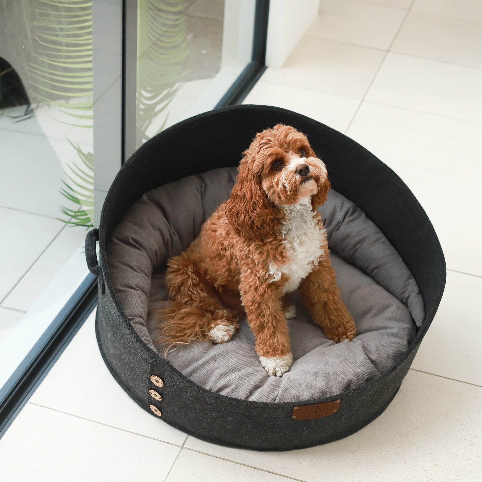 The Pod Bed | Wool Filled Dog Bed | NZ Made | Round Dog Bed