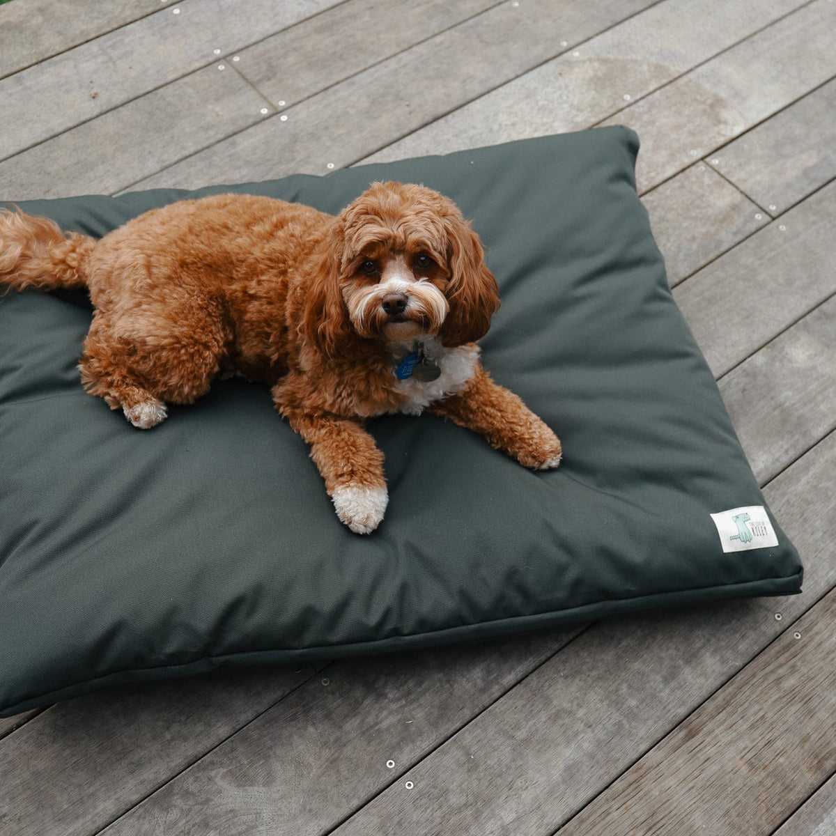 The Outdoor Bed | Wool-Filled | Farm Dog Bed | Made in NZ