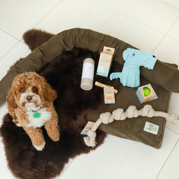 Dog Bed Bundles