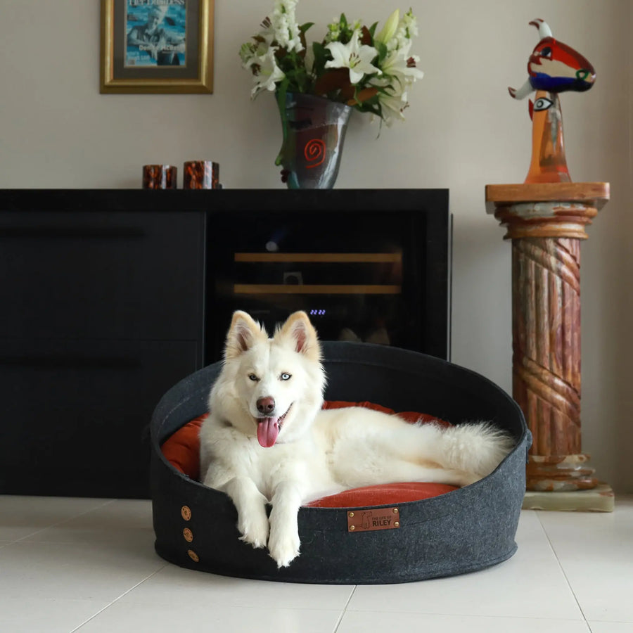 The Pod Bed | Wool Filled Dog Bed | NZ Made | Round Dog Bed